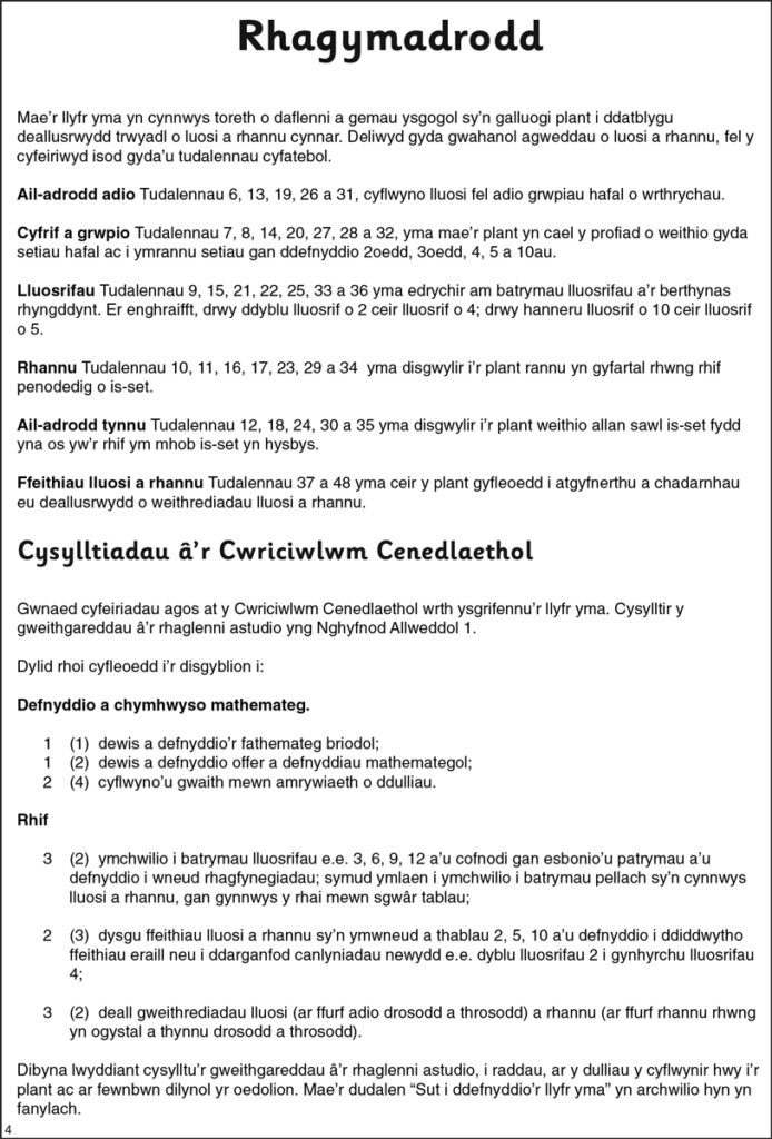 Datrys Problemau Mathemateg, Blwyddyn 2 - Brilliant Publications