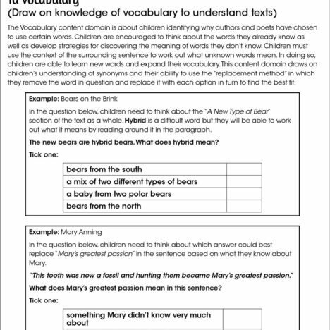 Developing Reading Comprehension Skills Year 2: Non-fiction
